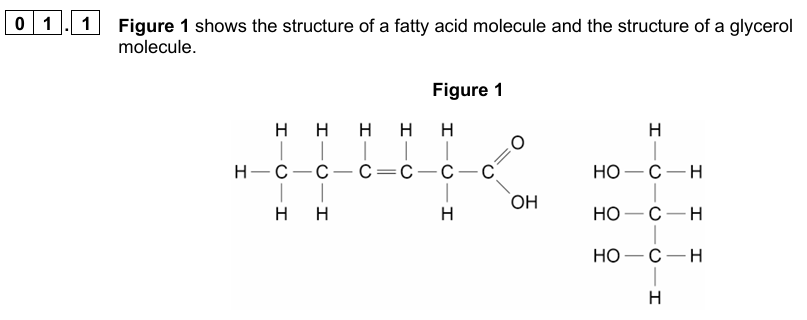 AQA A-Level Biology 2024 Paper 1 - Access Tuition
