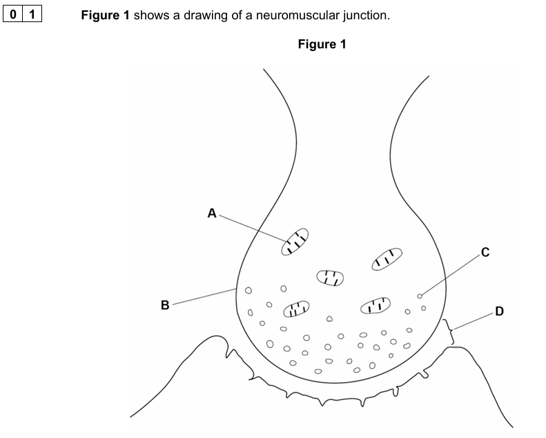 AQA A-Level Biology 2024 Paper 2 - Access Tuition
